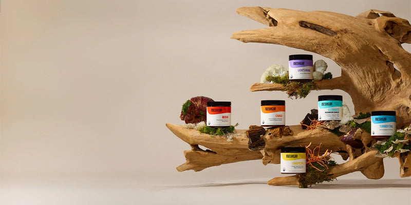 FreshCap | Wholly Mushrooms