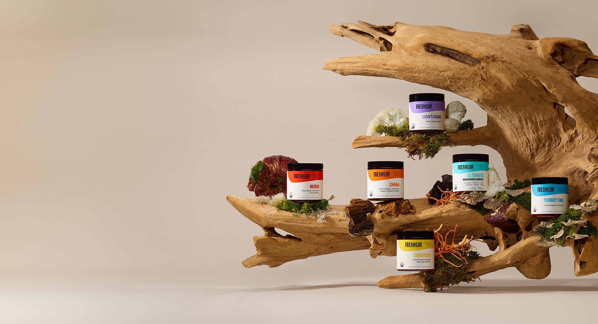 FreshCap | Wholly Mushrooms – FreshCap Mushrooms