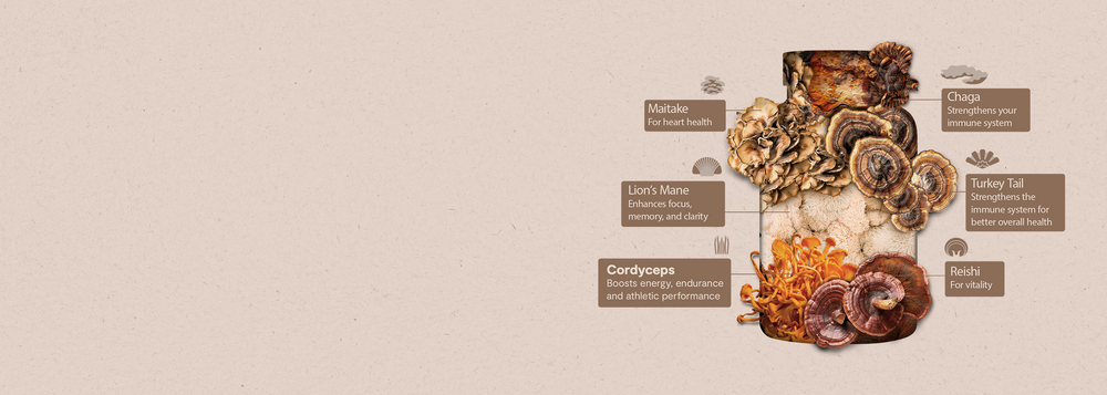 FreshCap | Wholly Mushrooms